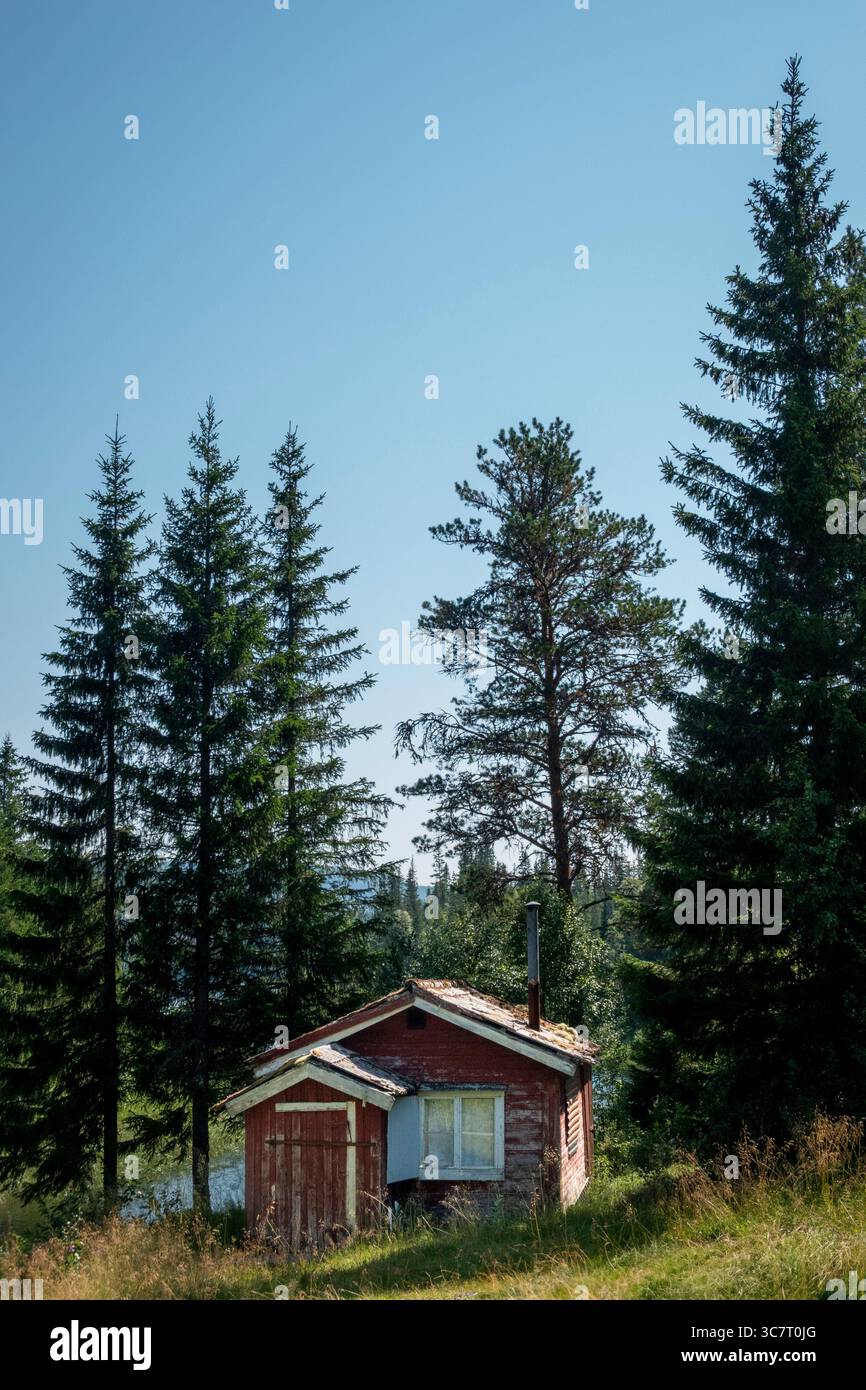 Abandoned forest cottage Stock Photo - Alamy