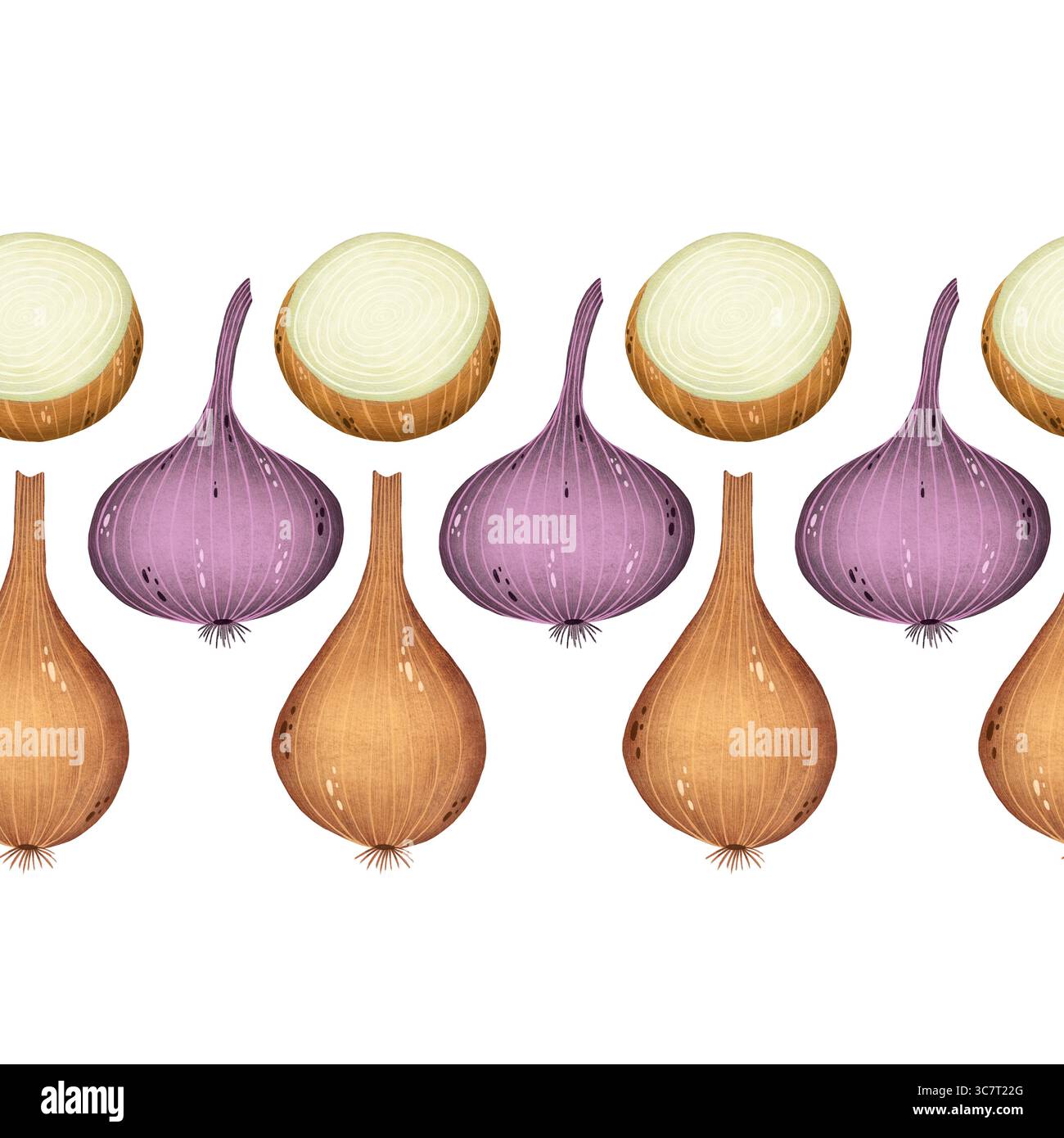 Seamless watercolor border featuring yellow and red onions on a white ...