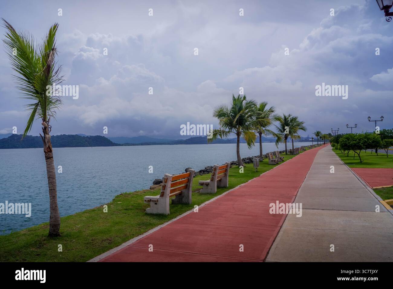 Panama City waterfront promenade with palm-lined walkway, benches and ...