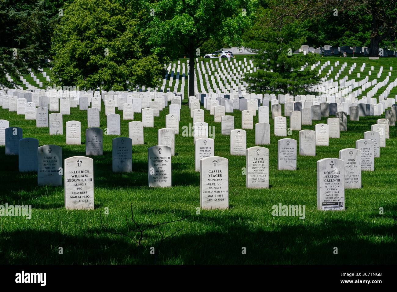 An Impactful And Emotive Photo Of Gravestones At Arlington National ...