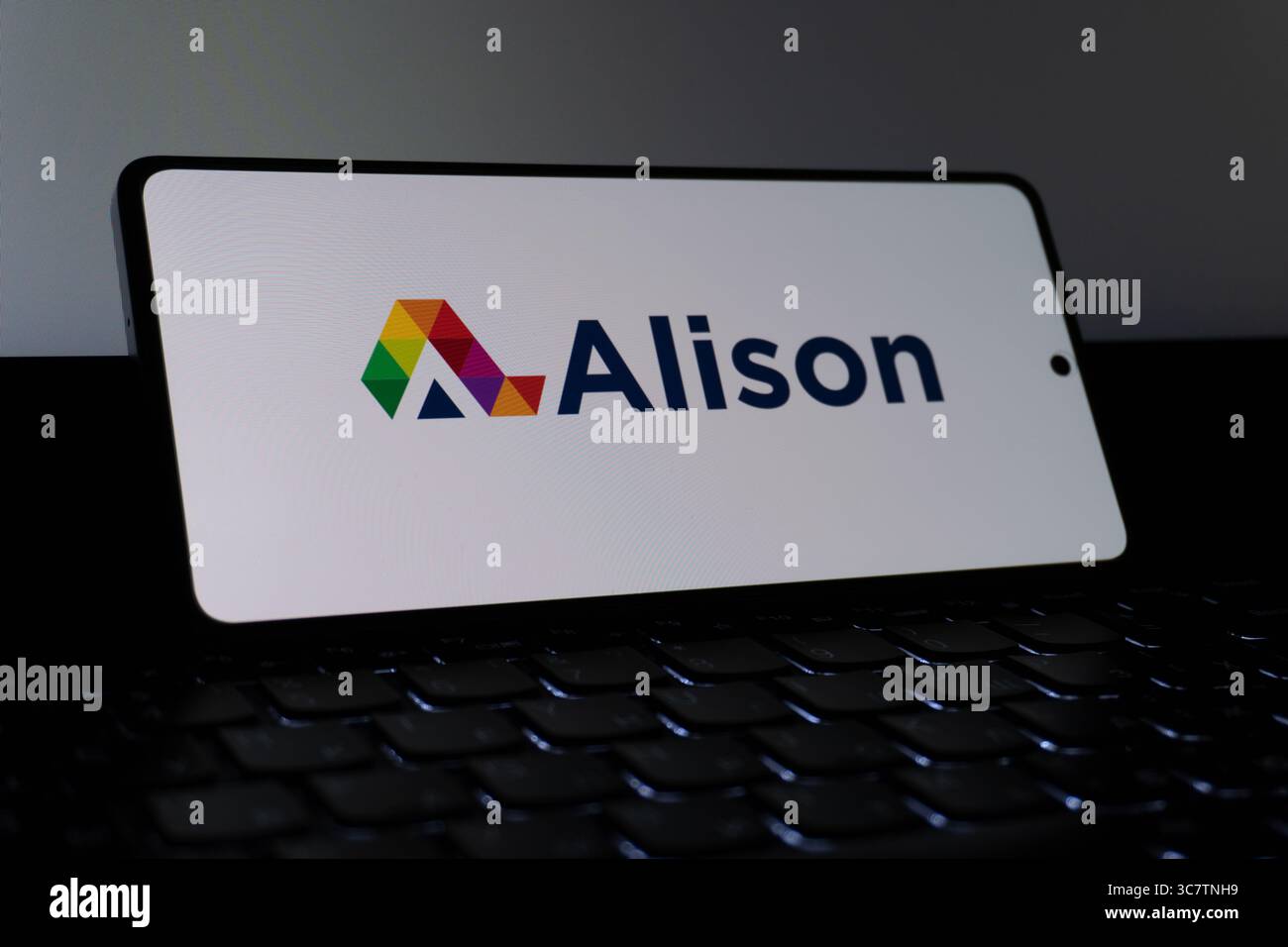 Alison educational platform logo is described on a screen. Oghuz ...