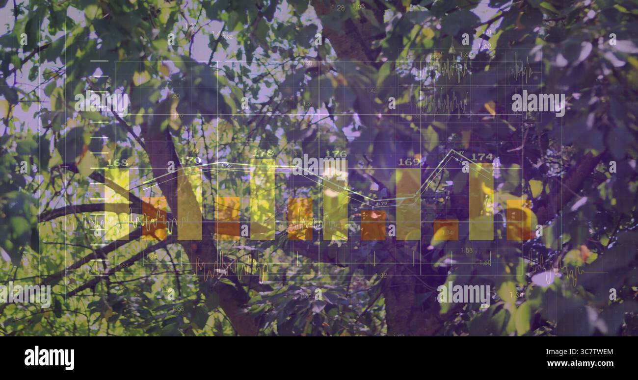 Displaying translucent bar chart hi-res stock photography and images - Alamy