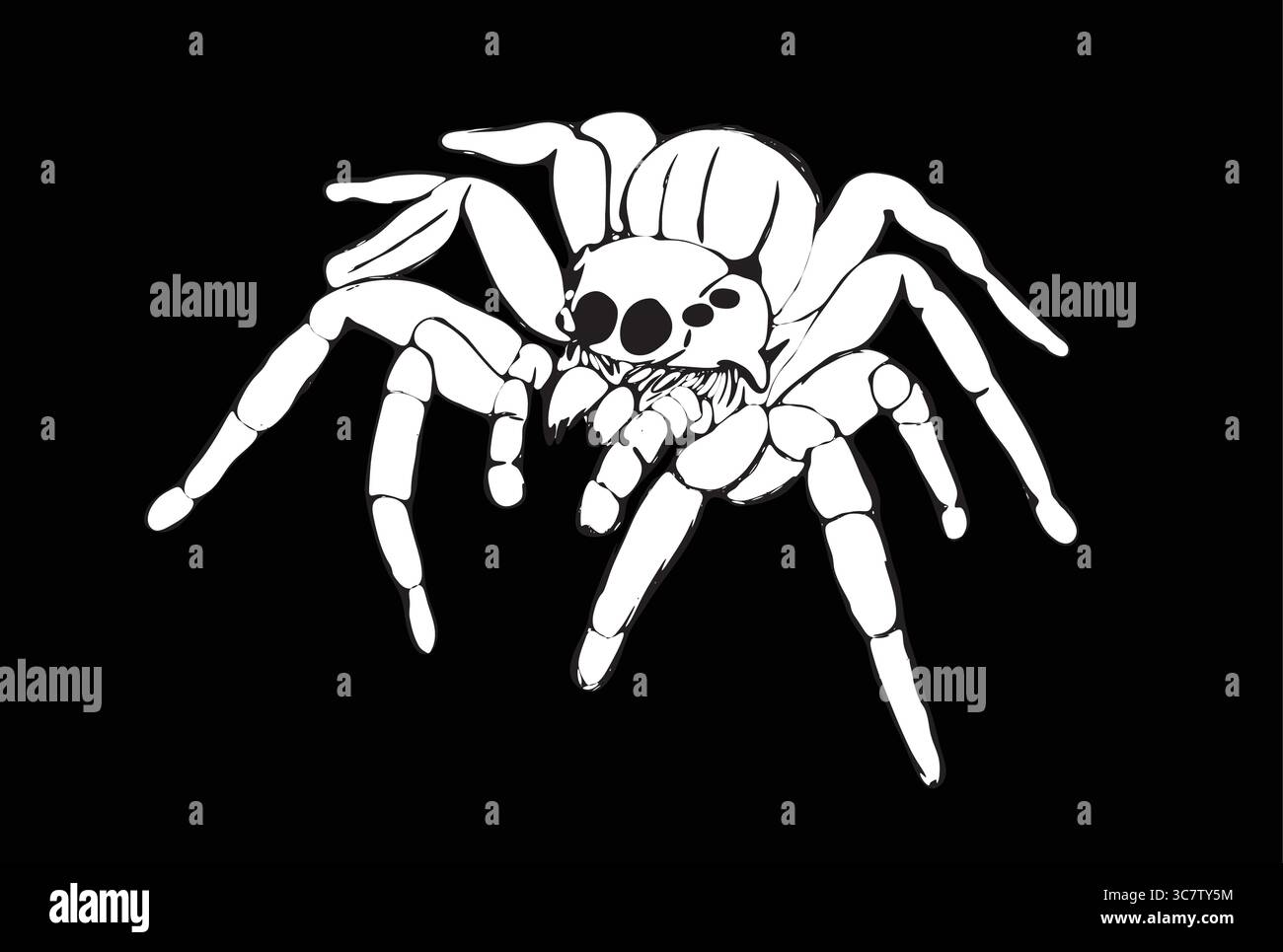 White spider crawling on WHITE background Stock Vector Image & Art - Alamy