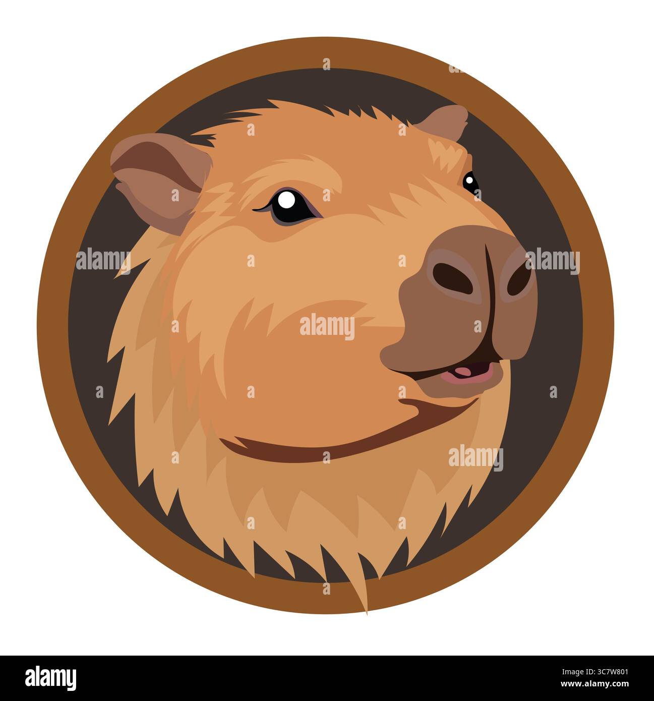 Capybara close-up portrait in circle frame, showing fur and facial ...