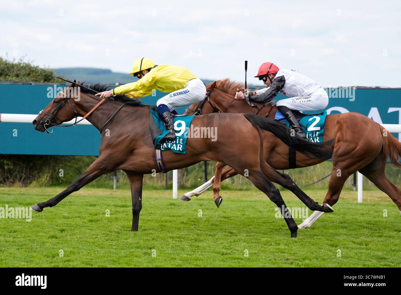 Waardah horse hi-res stock photography and images - Alamy