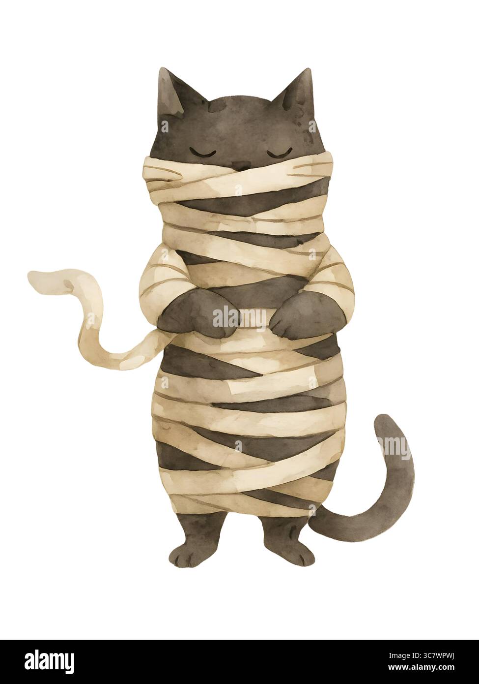 ute Watercolor Halloween Clipart – Spooky Elements Stock Photo - Alamy