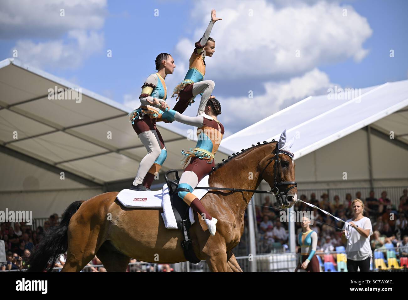 Equestrian and chariot demonstrations on the occasion of the ...