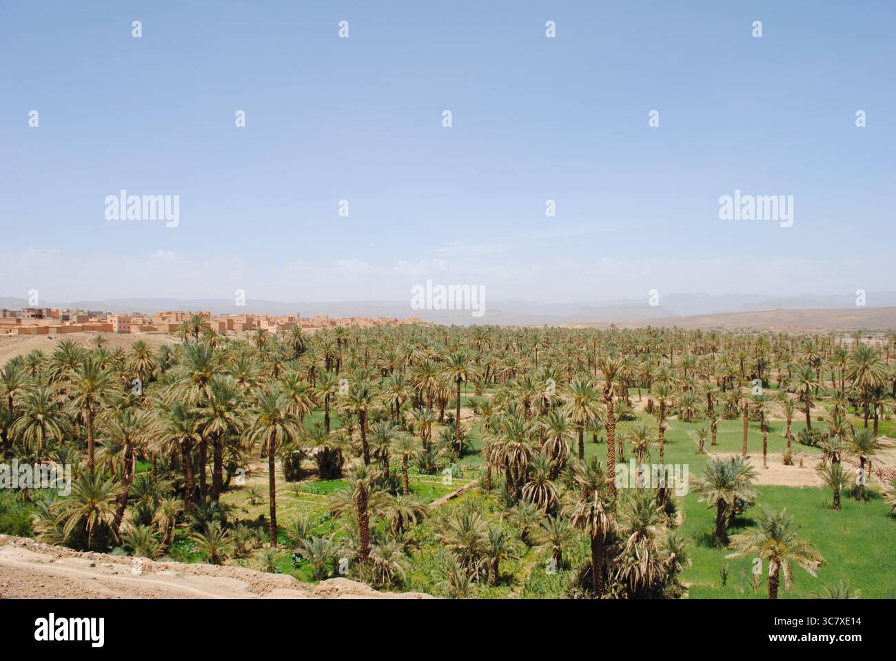Elevated view desert oasis hi-res stock photography and images - Alamy