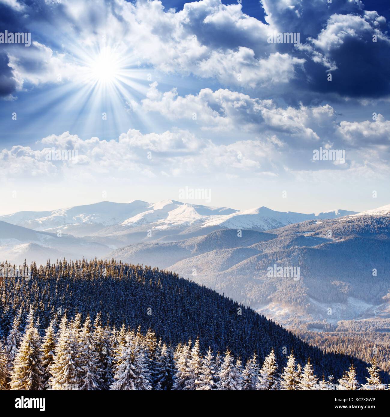 Beautiful winter landscape tree hi-res stock photography and images - Alamy