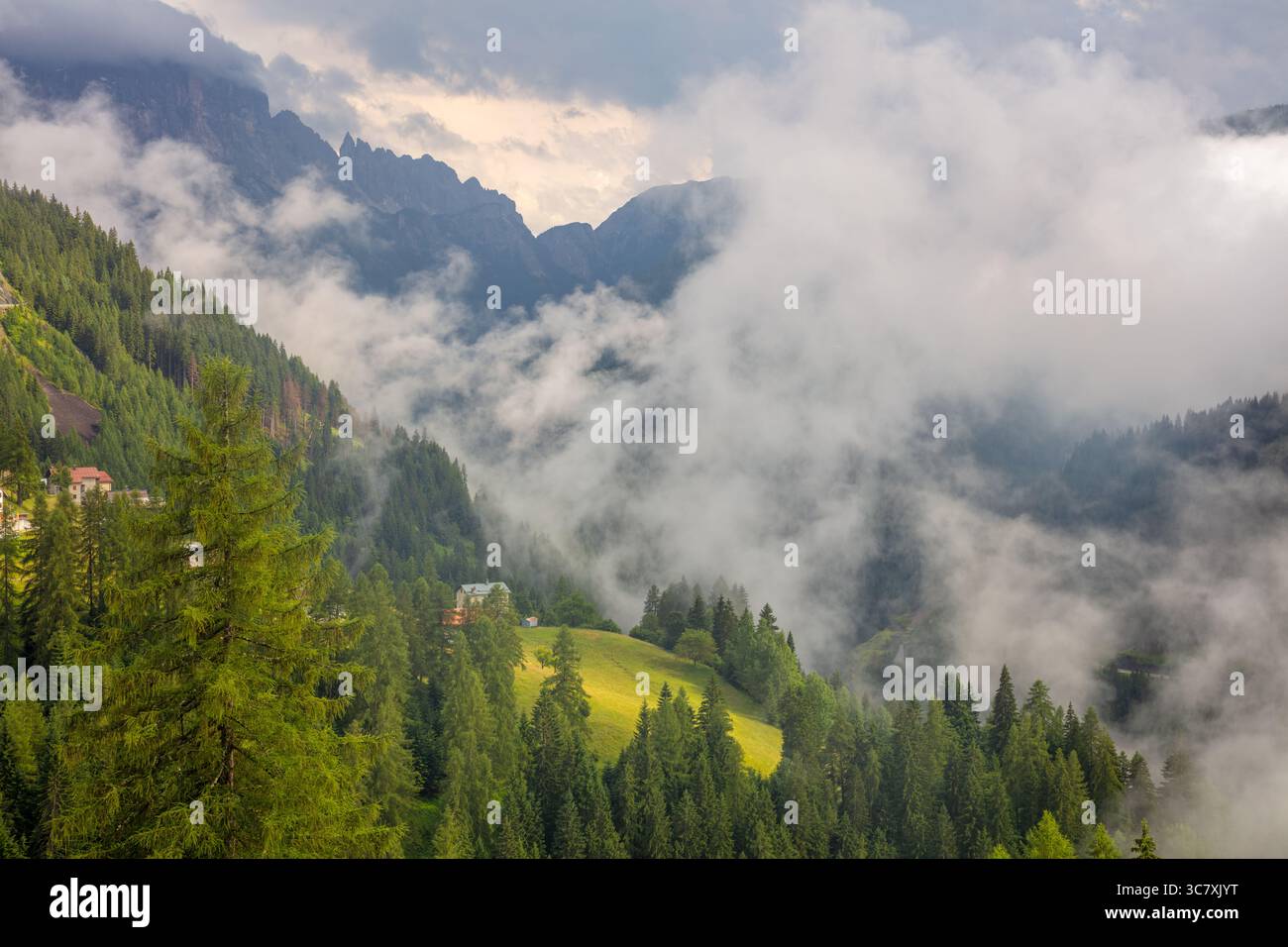 Thick fog flows through a deep alpine valley, partially revealing green ...