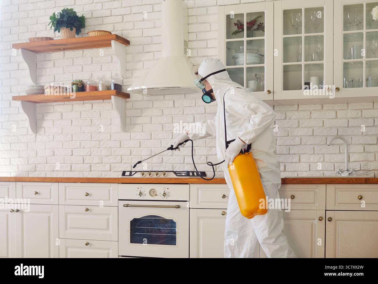 Service man disinfecting kitchen in client house or doing pest control ...