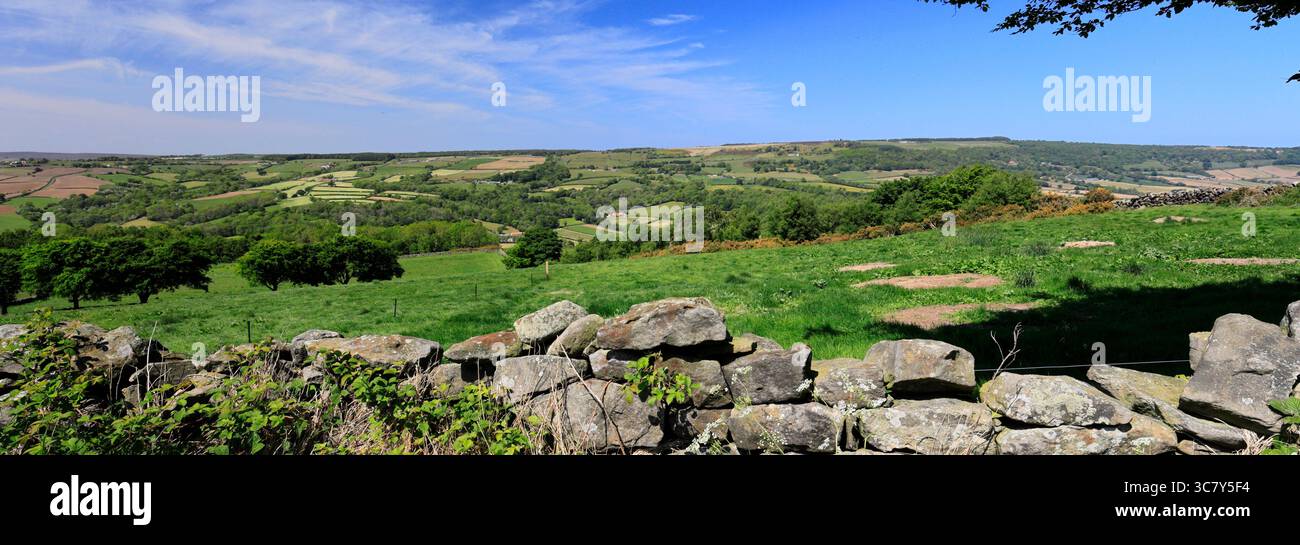 Summer landscape view over Goathland Moor, North Yorkshire Moors ...