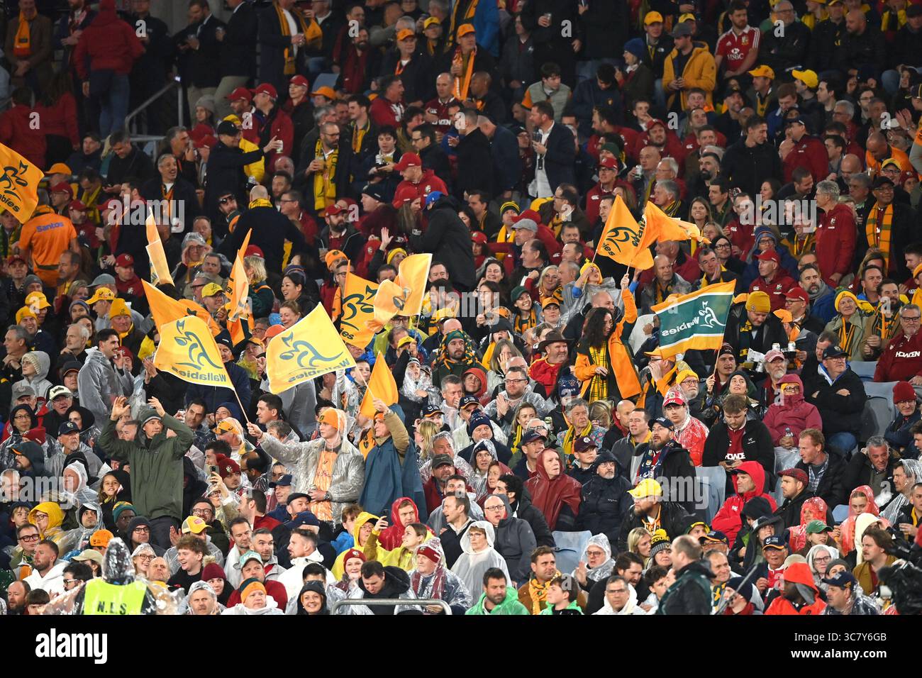 SYDNEY, AUSTRALIA - AUGUST 02: Australia Wallabies fans cheers during ...