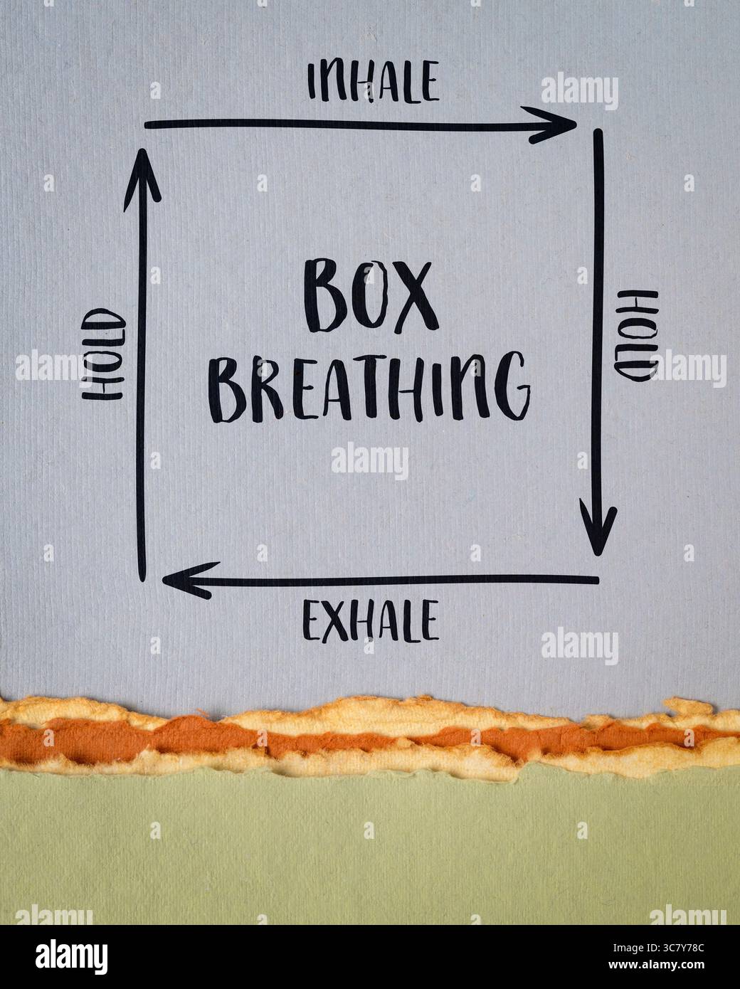 Box or square breathing - a simple but powerful breathwork technique ...
