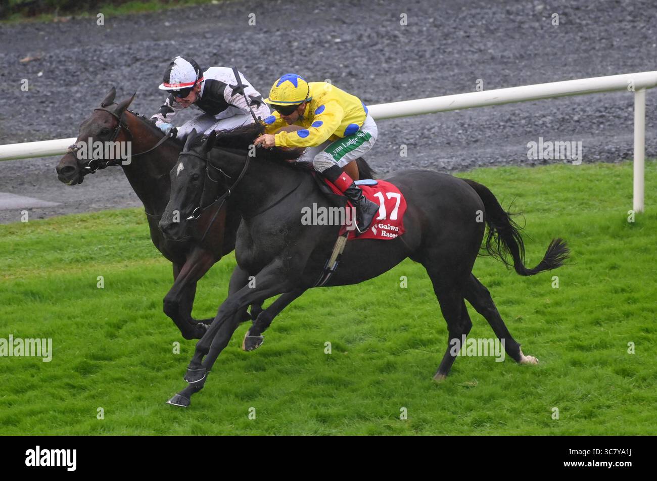 Thatwilldoso and jockey Rory Cleary (yellow and blue) coming home to ...