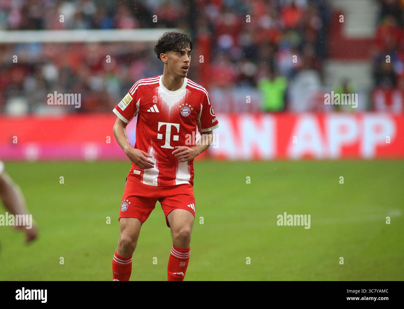 Fussball, Herren, Saison 2025/2026, FC Bayern München - Olympique Lyon ...
