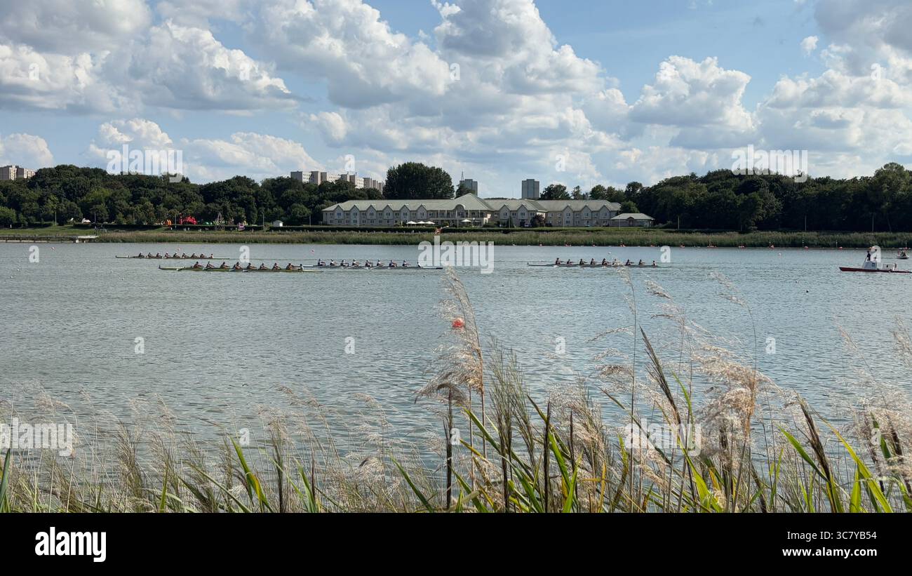 Rowing crews competing in the youth regatta at Lake Malta, Poznań ...