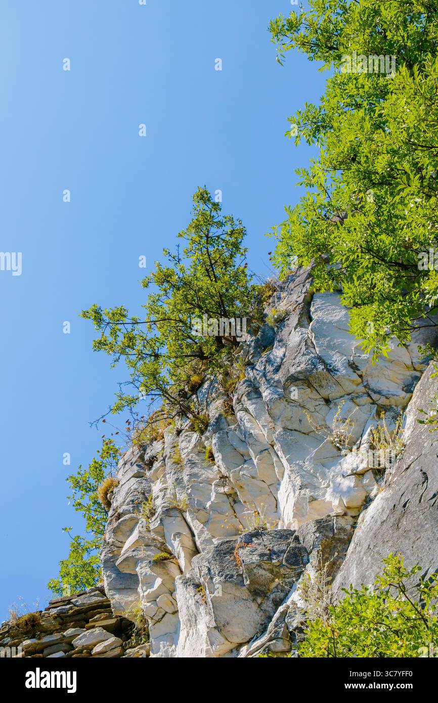 Jagged limestone rock face with green trees growing along its edge ...