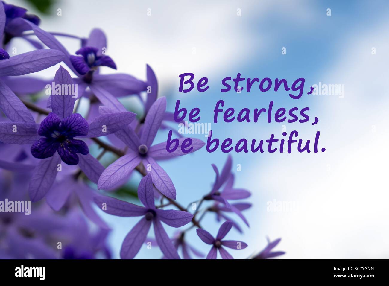 Strong and fearless hi-res stock photography and images - Alamy