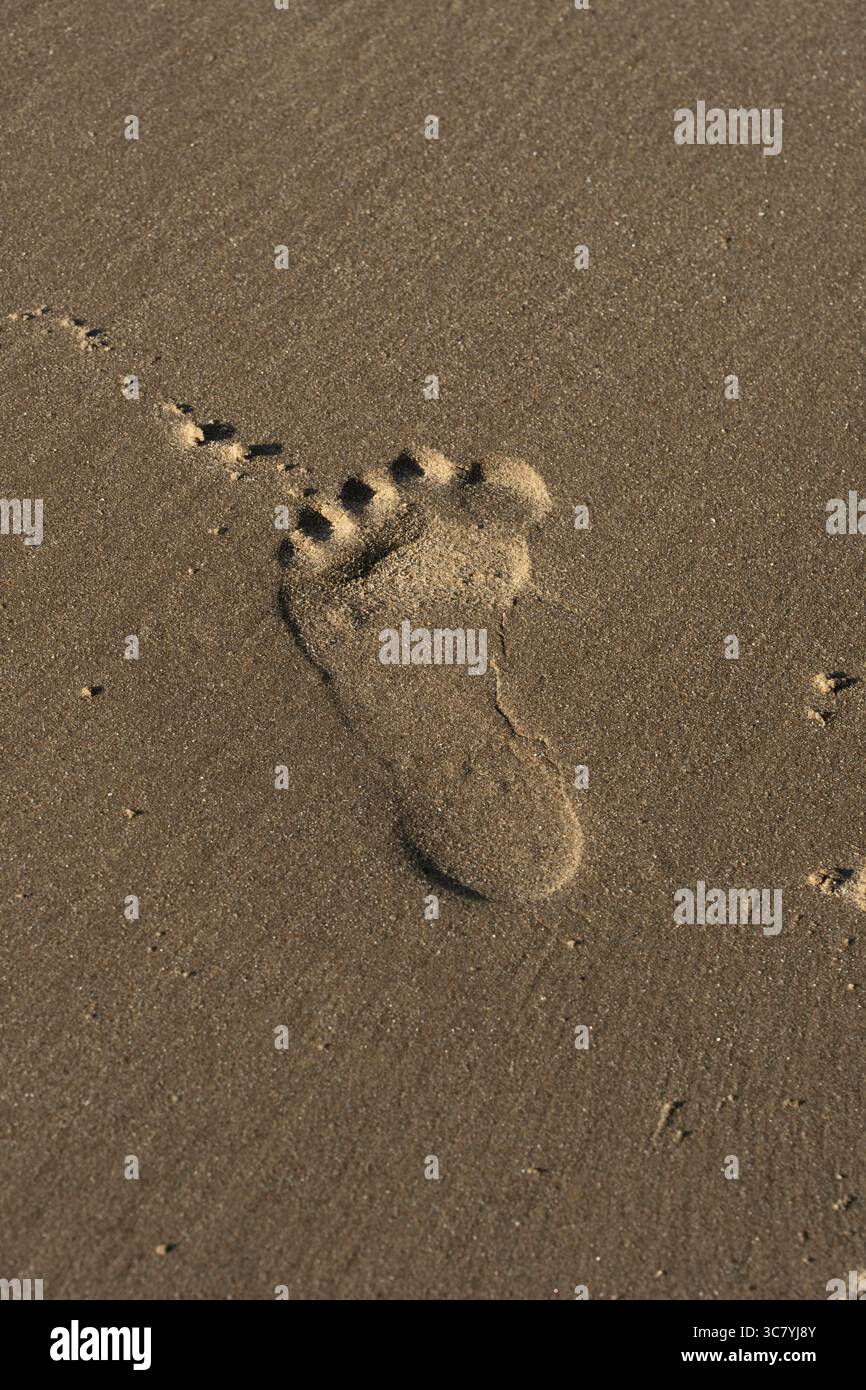 A lone footprint on the sandy shores of Monknash beach, also known as ...