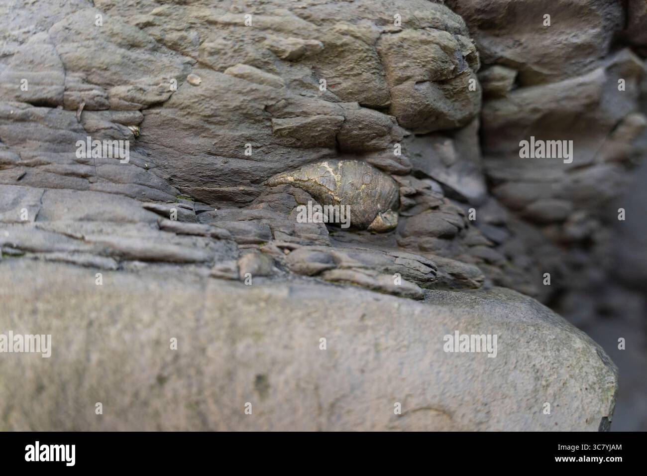 Erosion reveals a concretion in layered sandstone at the base of the ...