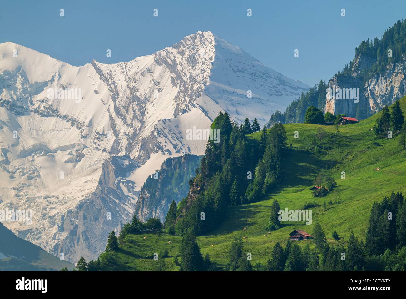 Mount Balmhorn, Bernese Alps, Frutigen, Canton of Bern, Switzerland ...