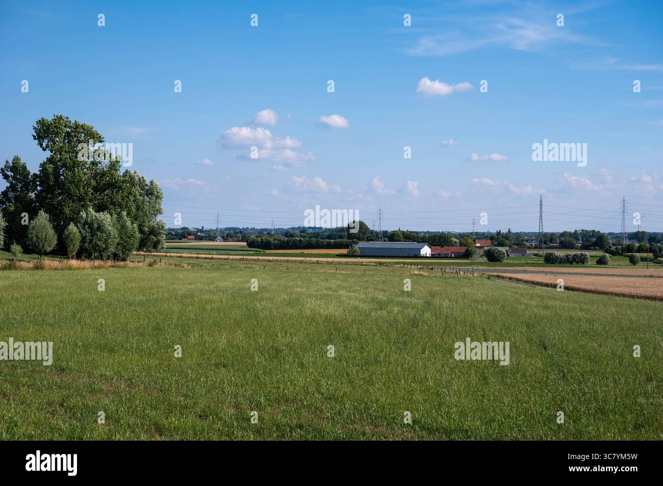 Green agriculture fields and barns at the Flemish countryside in ...