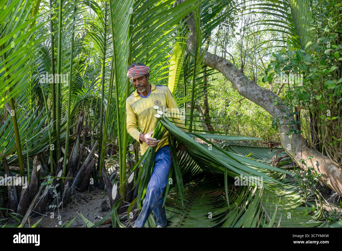 Sustainable rural livelihoods hi-res stock photography and images - Alamy