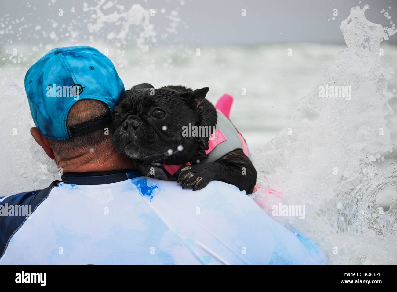 David Fasoli carries Iza Surf Dog through the breakers during the World ...