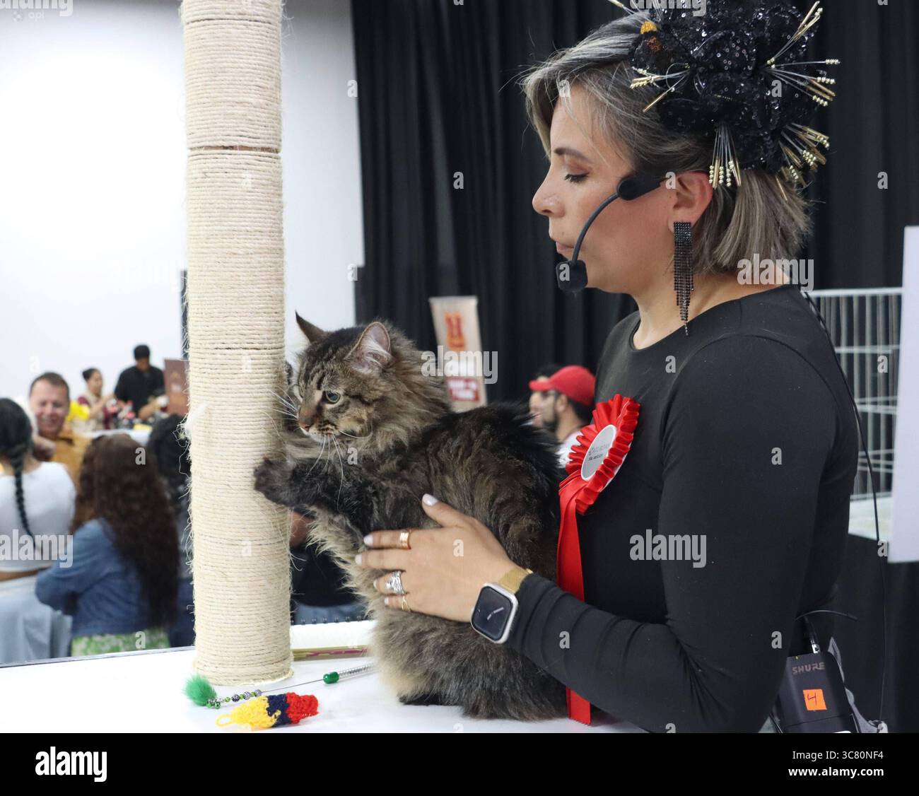 BIGGEST CAT EVENT CATURDAY 2025 Quito, Saturday, August 2, 2025 ...