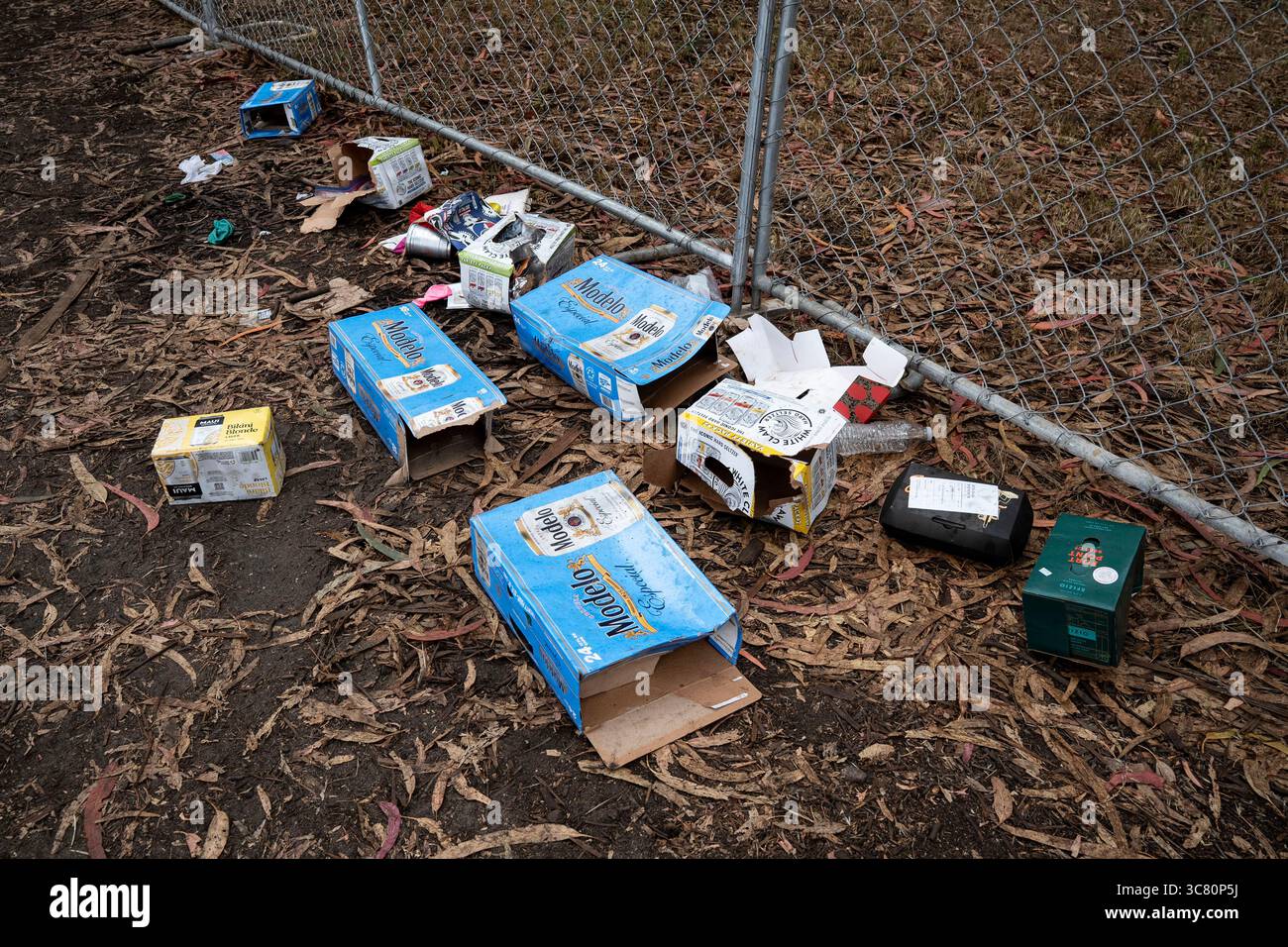 The aftermath of Friday's concert is seen in Golden Gate Park in San ...