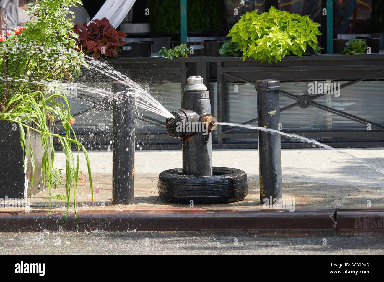 Fire hydrant shooting water on hi-res stock photography and images - Alamy