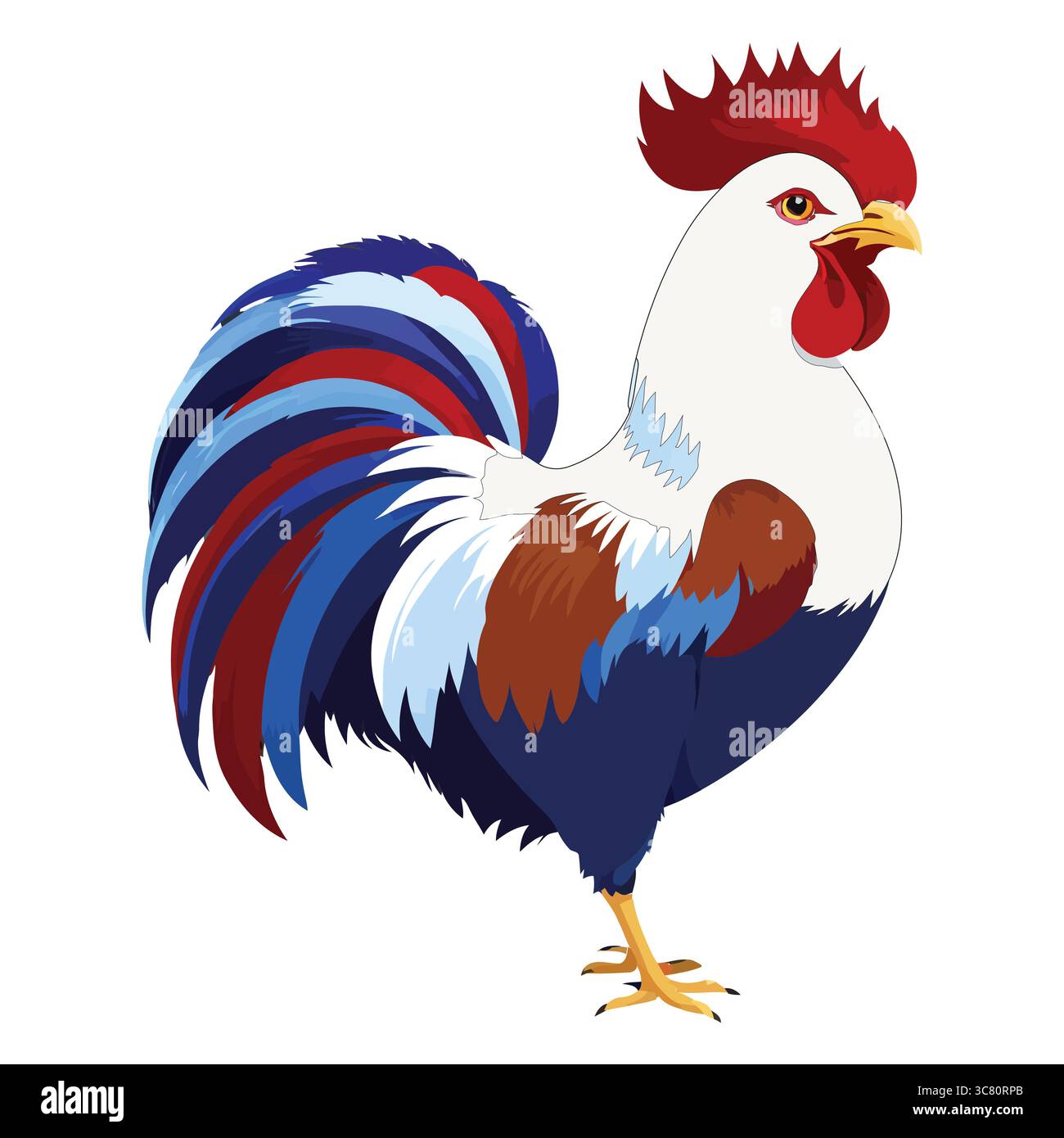 Portrait chicken rooster Cut Out Stock Images & Pictures - Alamy