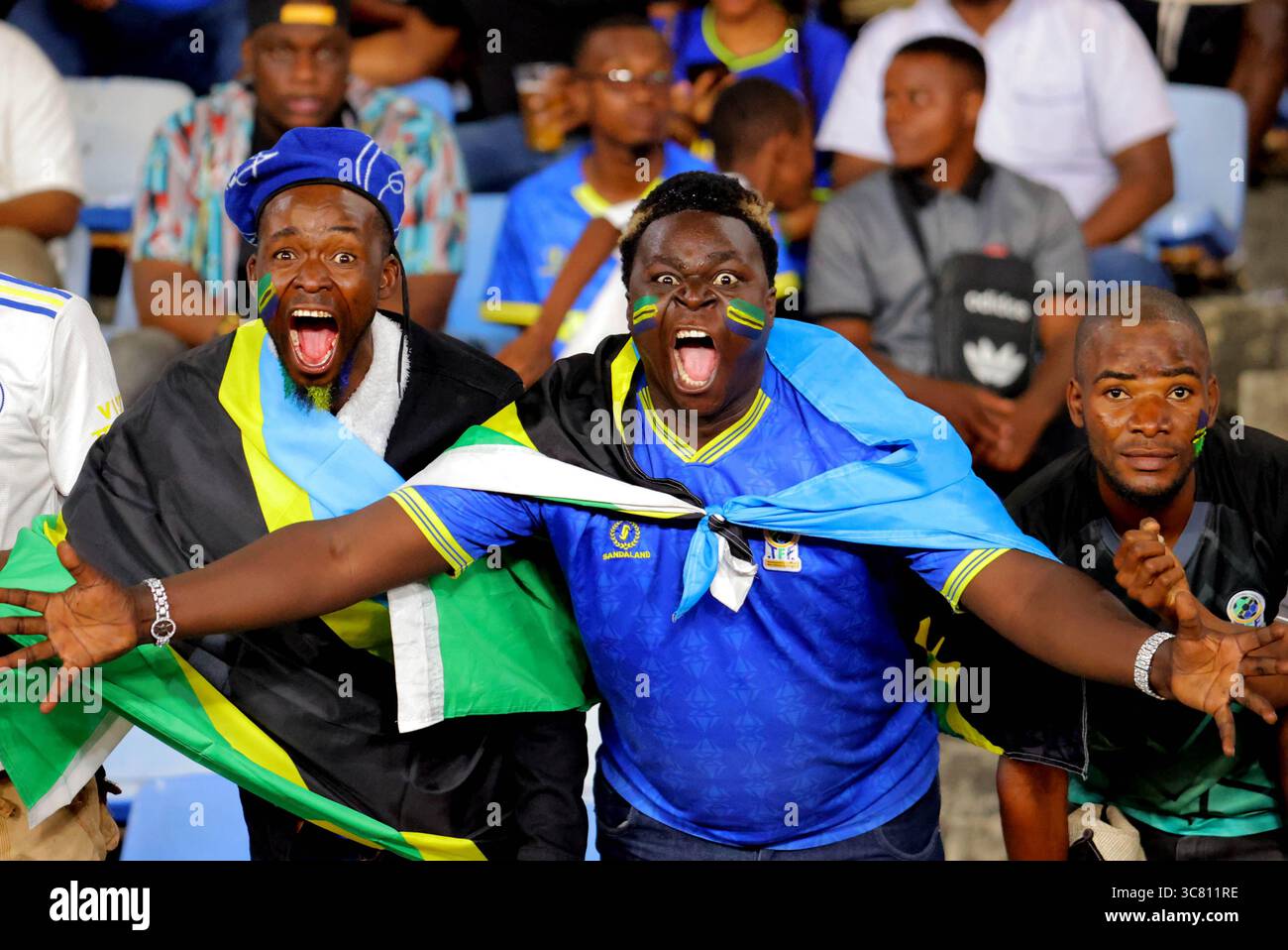 DAR ES SALAAM, TANZANIA - AUGUST 2: Tanzania fans during the CAF ...