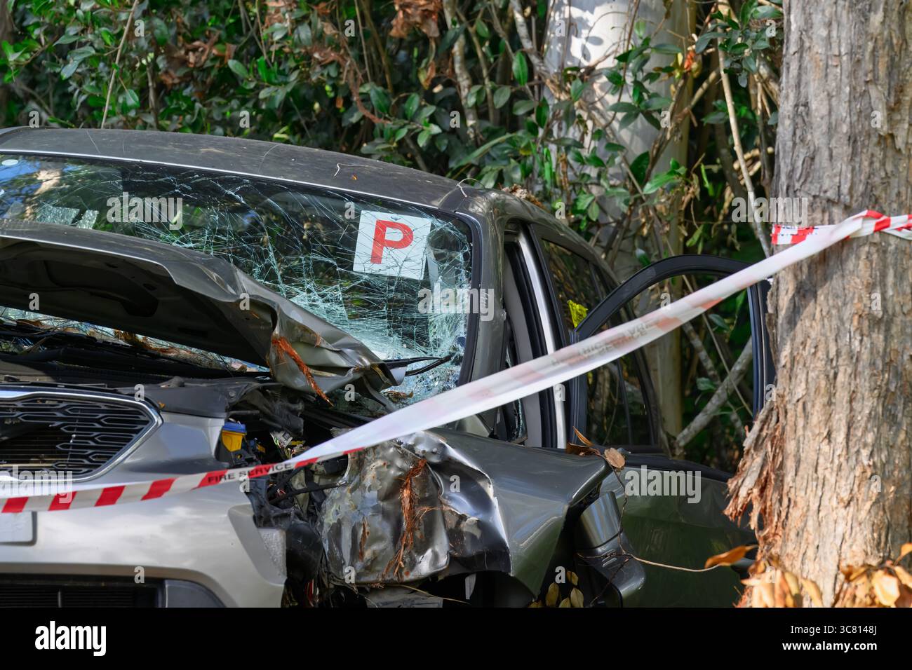 car crash accident, P plate driver smashed into tree, rural road ...
