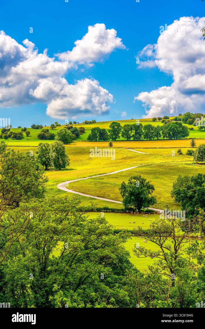 Winding road through lush landscape hi-res stock photography and images ...