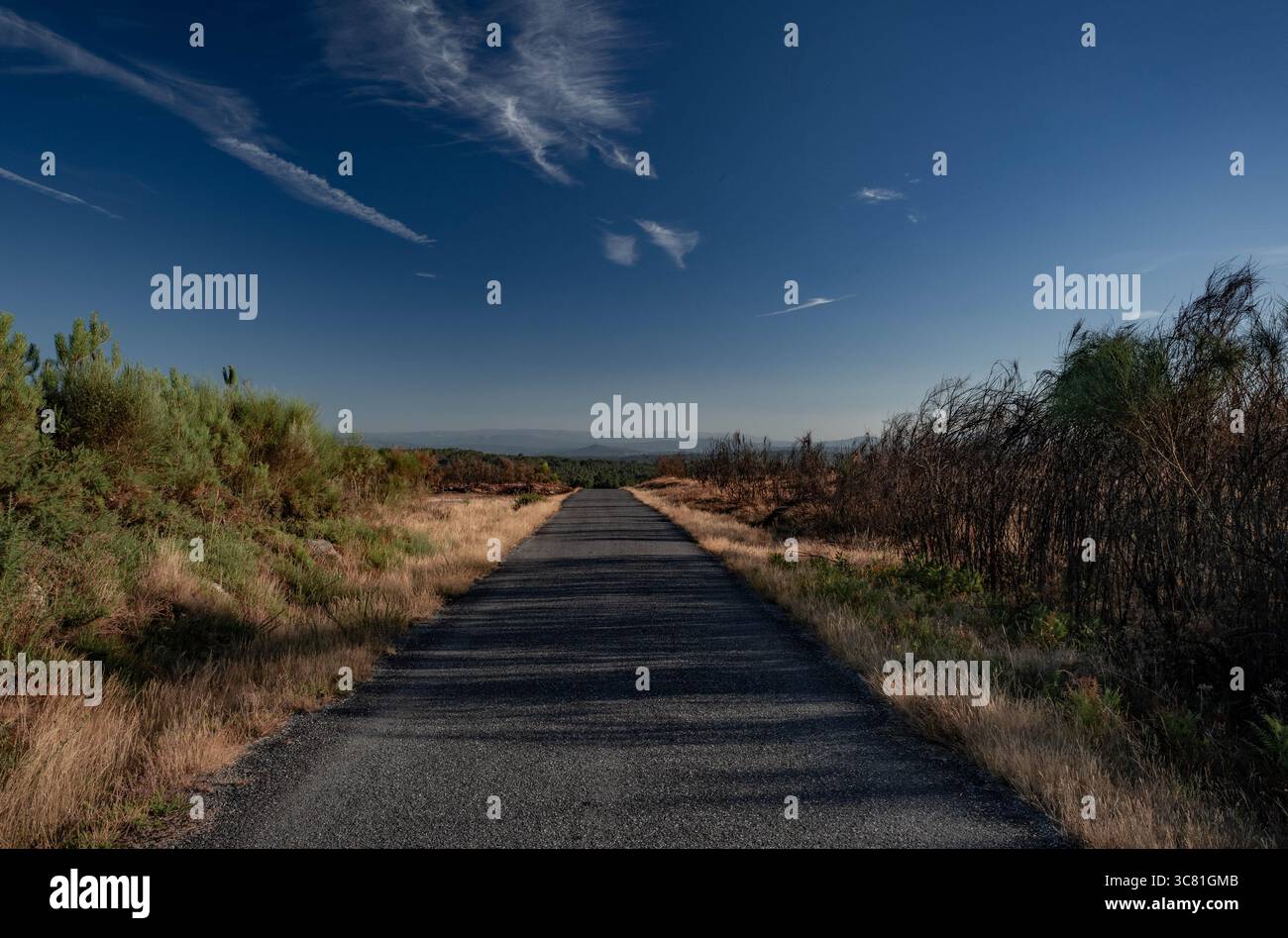 Blue horizon future distance hi-res stock photography and images - Alamy