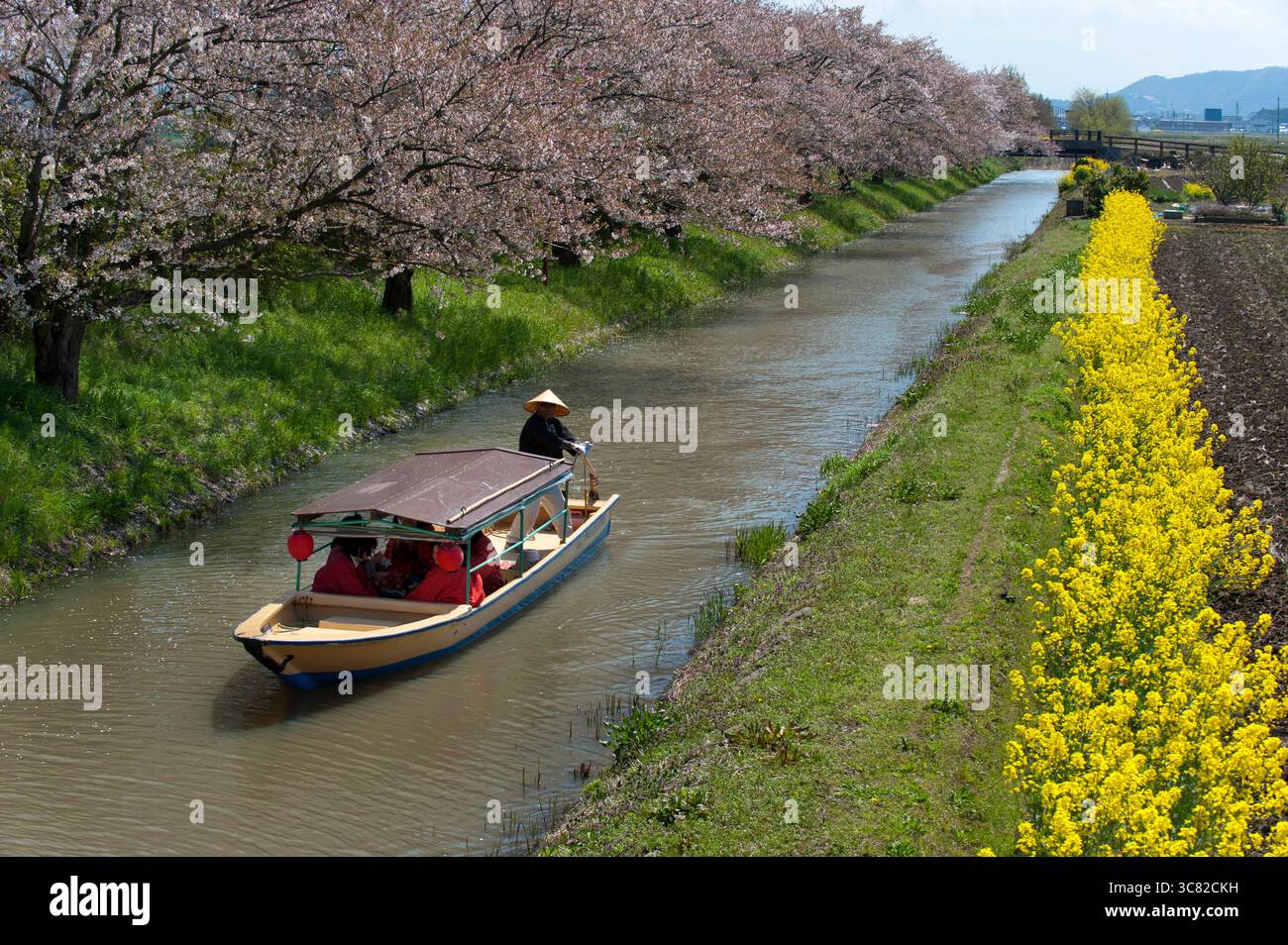 Omihachiman Suigo Meguri (近江八幡水郷めぐり) human-powered canal boat cruise of ...