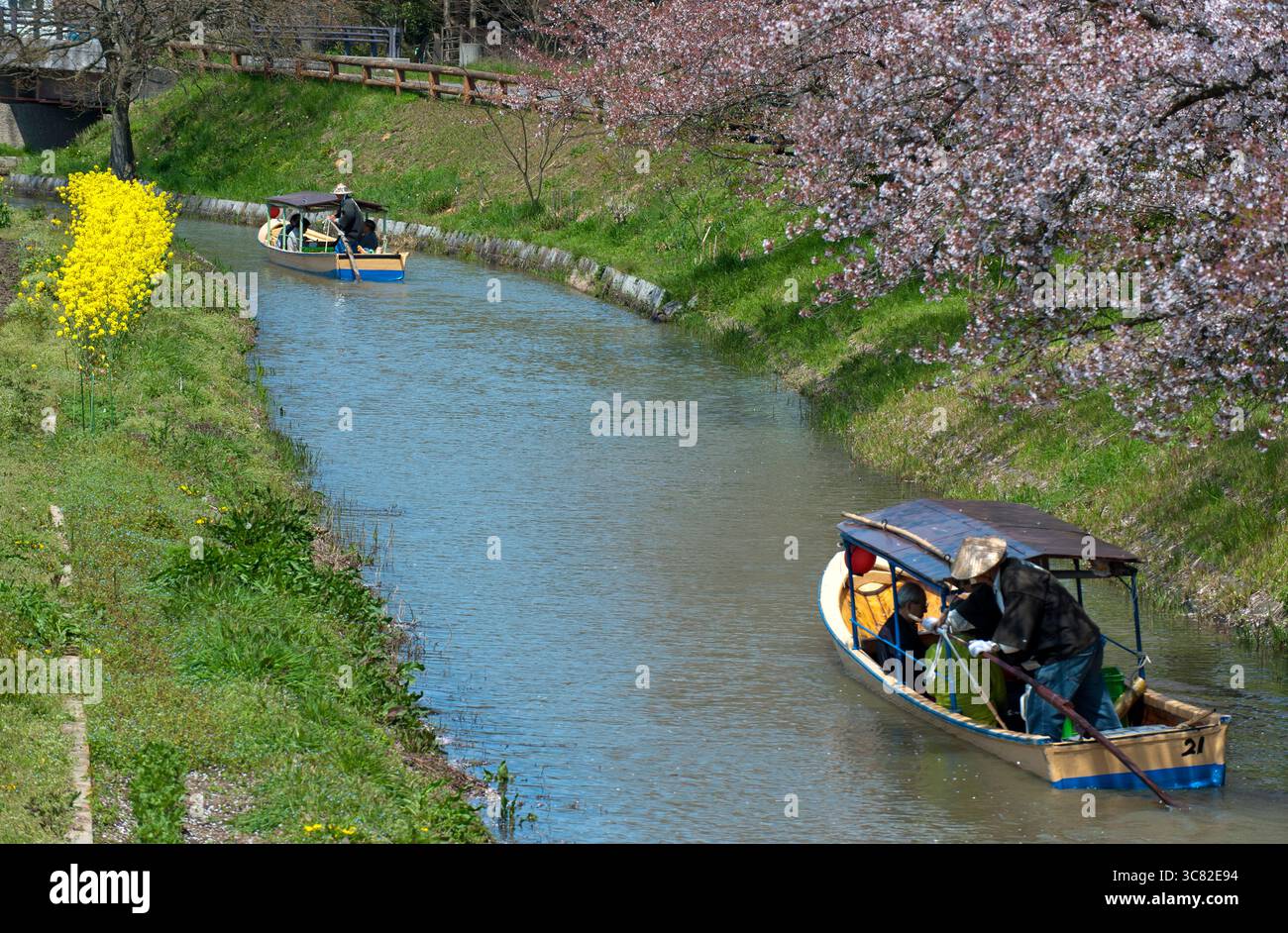 Omihachiman Suigo Meguri (近江八幡水郷めぐり) human-powered canal boat cruise of ...