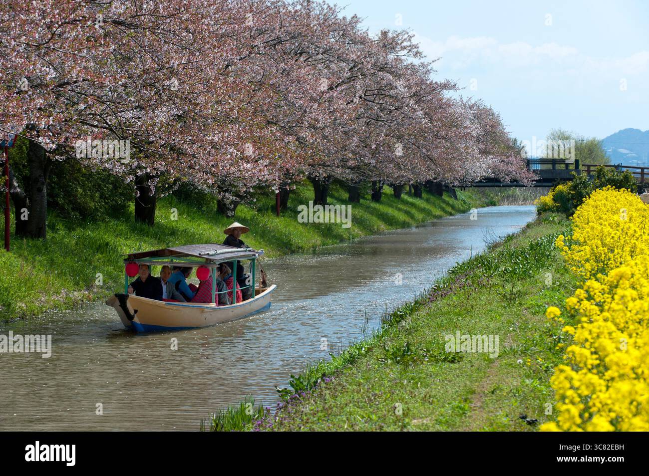 Omihachiman Suigo Meguri (近江八幡水郷めぐり) human-powered canal boat cruise of ...