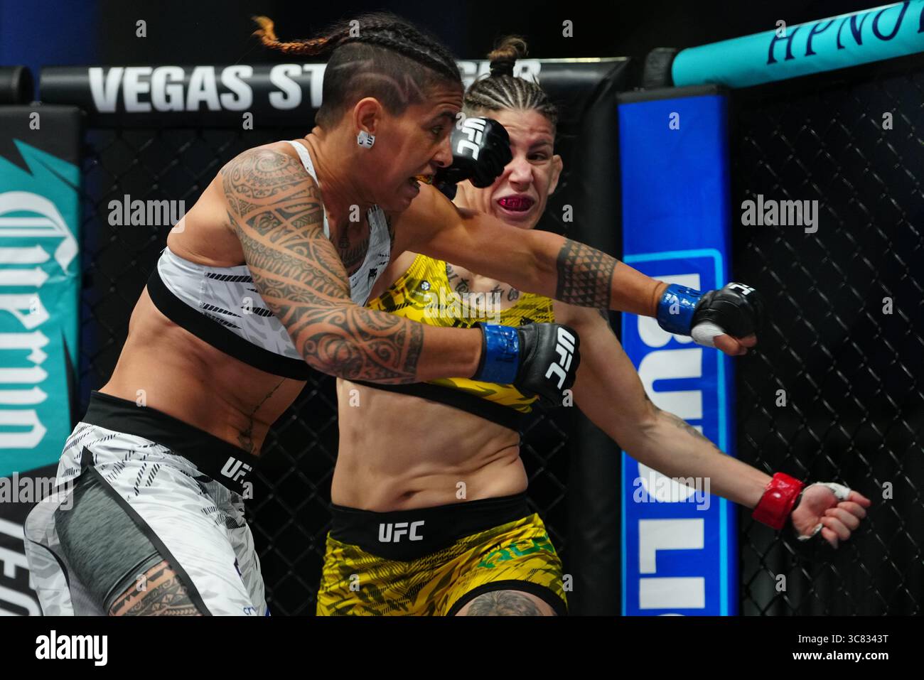 LAS VEGAS, NV - AUG 2: Karol Rosa and Nora Cornolle meet in the octagon ...