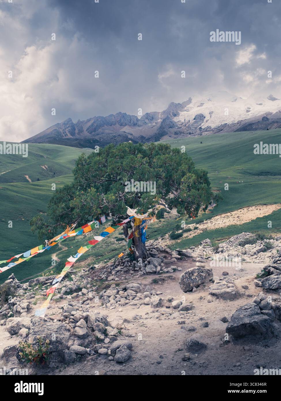 A tree decorated with prayer flag at the foot of Genie the holy ...