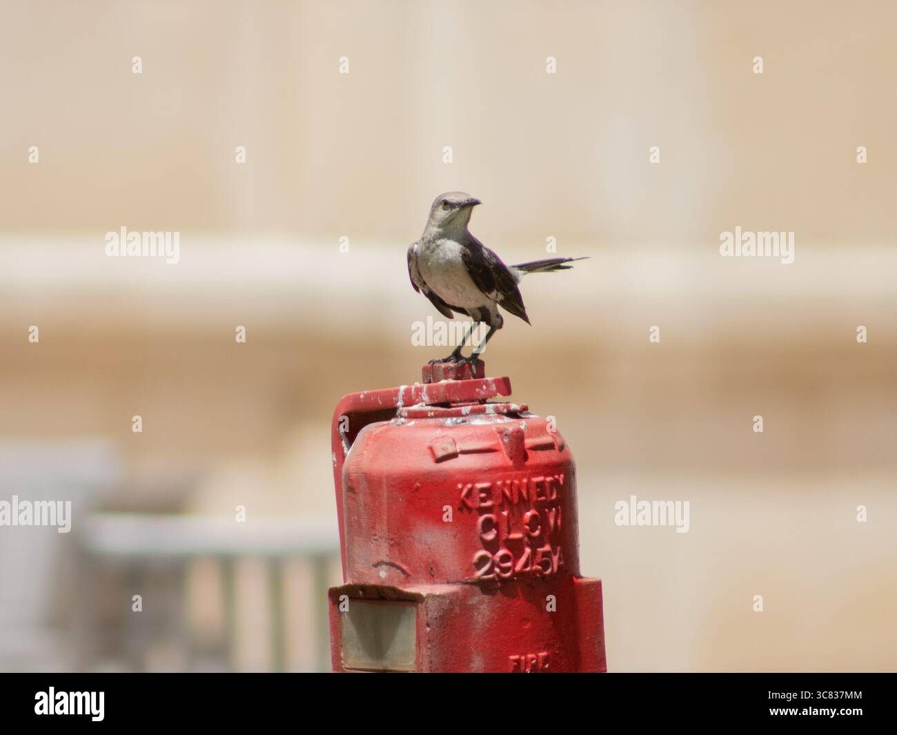 Fire hydrant in small street hi-res stock photography and images - Alamy