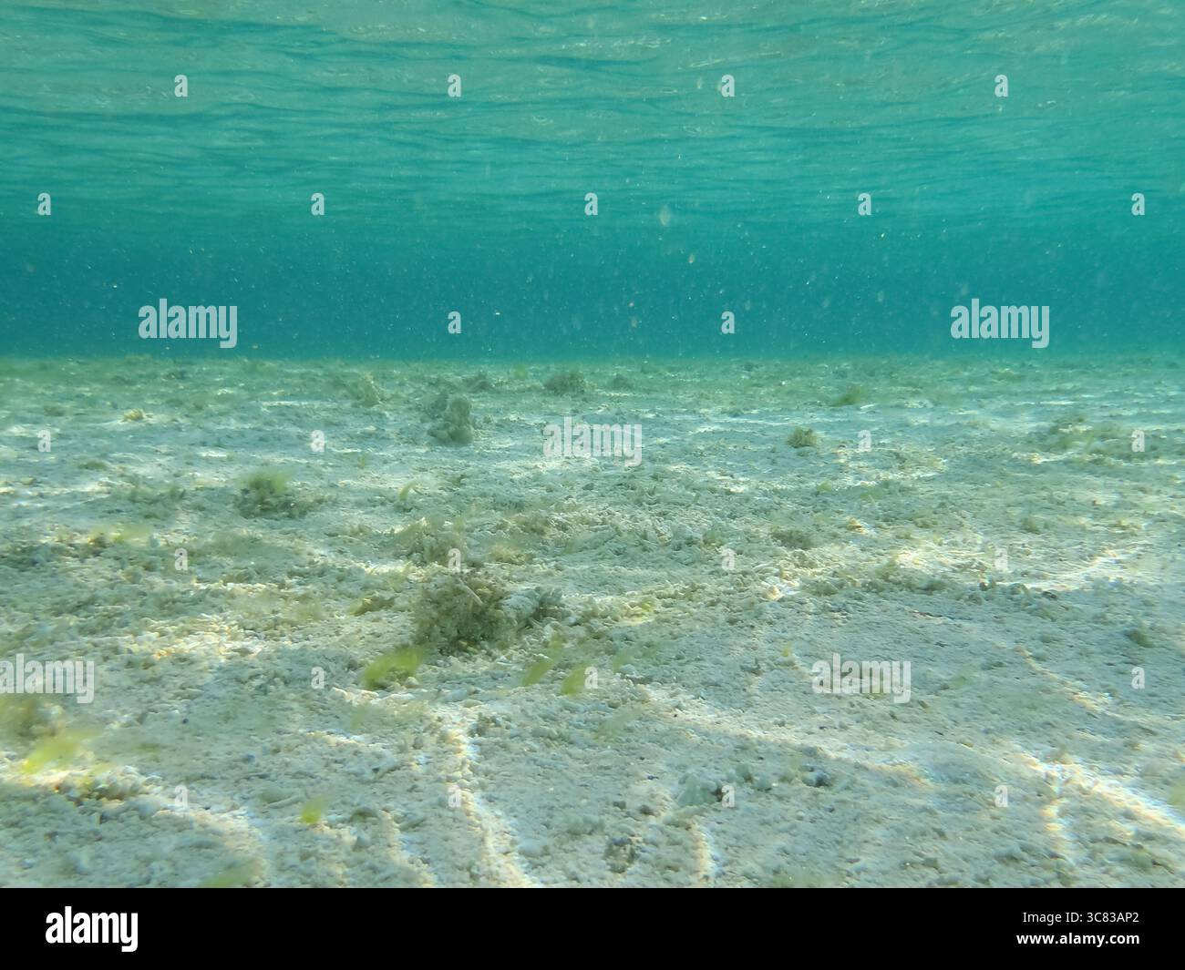 Crystal Clear Water Sunlight Patterns Stock Photo - Alamy