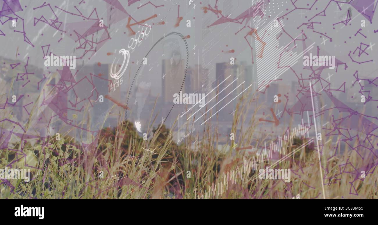 Overlaying purple network graphs and charts across grassland to skyline ...