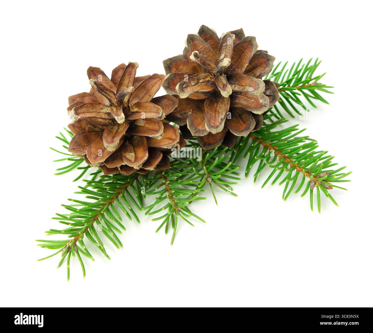 Decorative background featuring Cut Out Stock Images & Pictures - Alamy