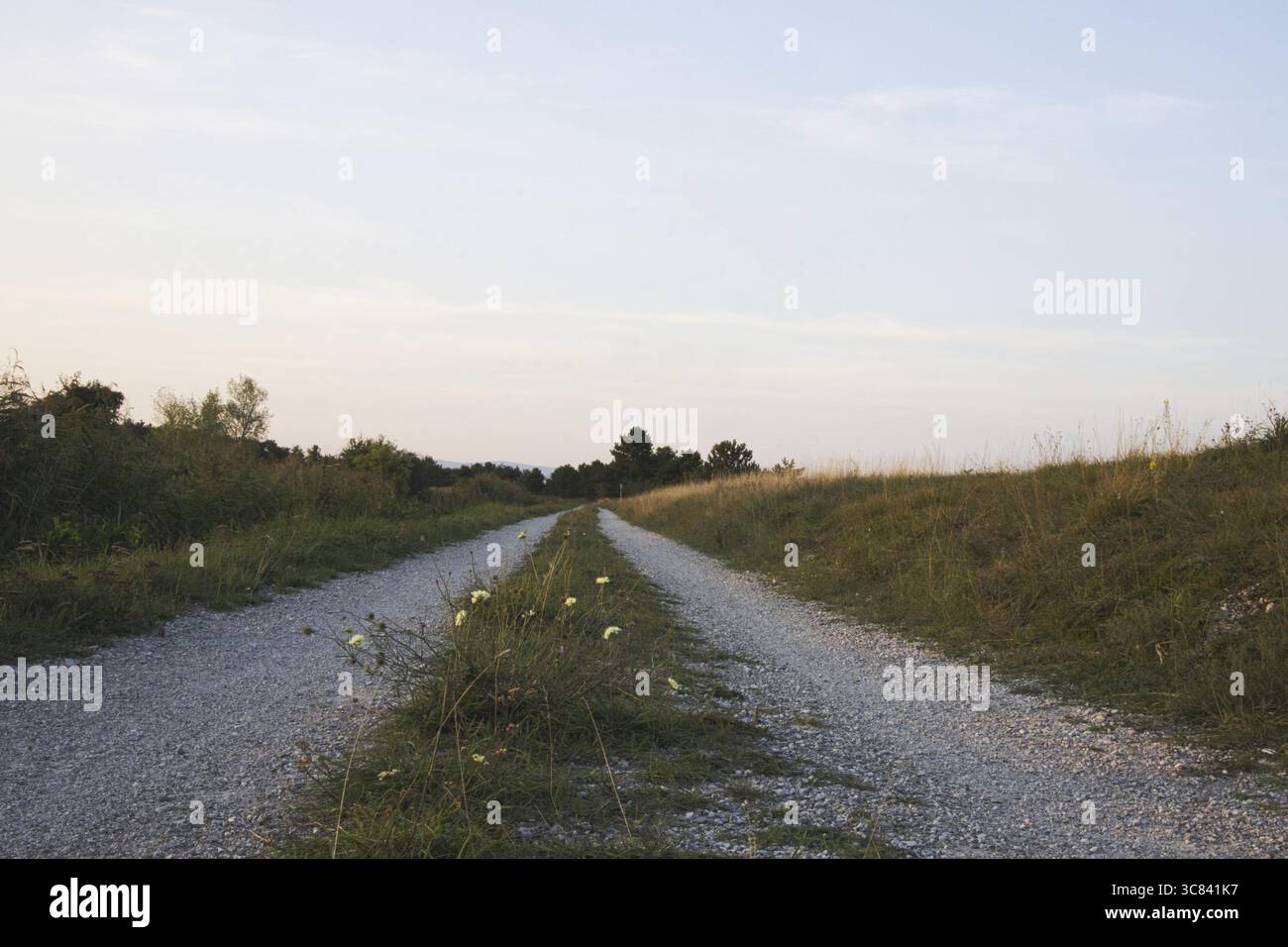Panorama shot golden sunset in hi-res stock photography and images - Alamy