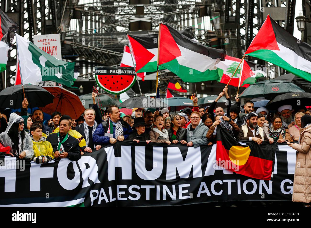 Protesters march across the Sydney Harbour Bridge during the rally ...