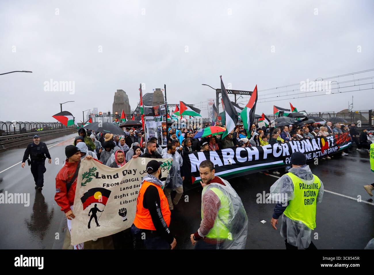 Protesters march across the Sydney Harbour Bridge during the rally ...