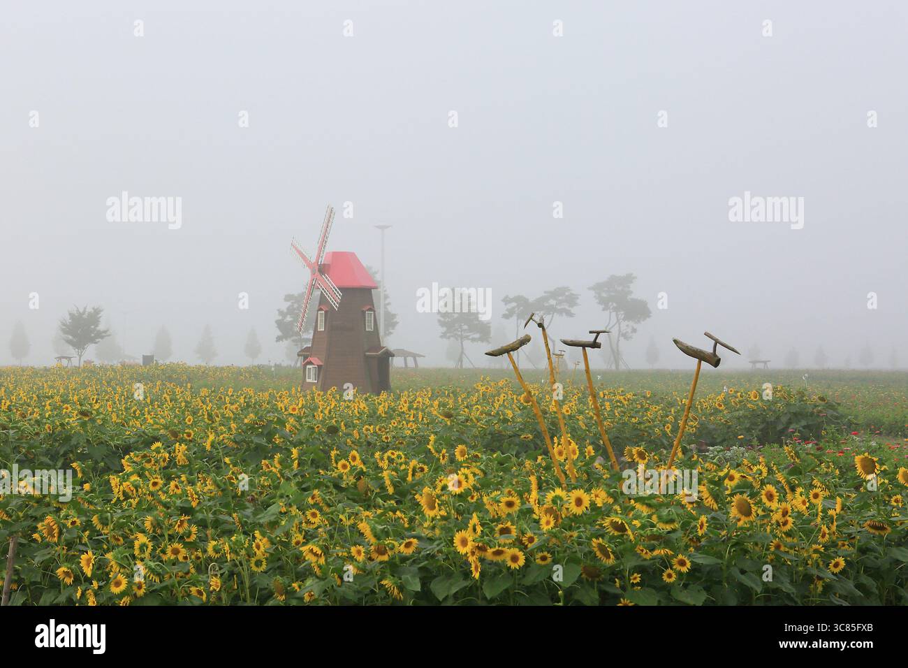 Changnyeong gun hi-res stock photography and images - Alamy